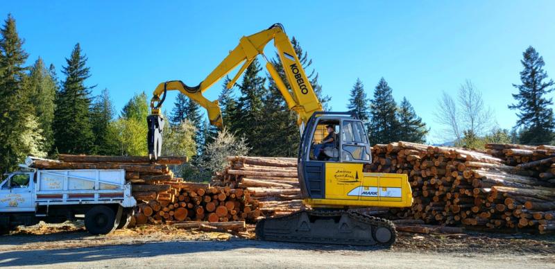 American Forest Lands Washington Logging Company LLC InMaple Valley, WA ...