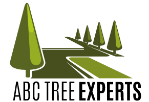 ABC Tree Experts In Baltimore, MD | Contact Us
