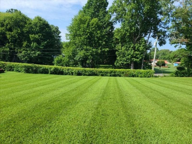 Lawn Maintenance In Dayton, TN - Arnold’s Lawn Sharks In Dayton, TN ...